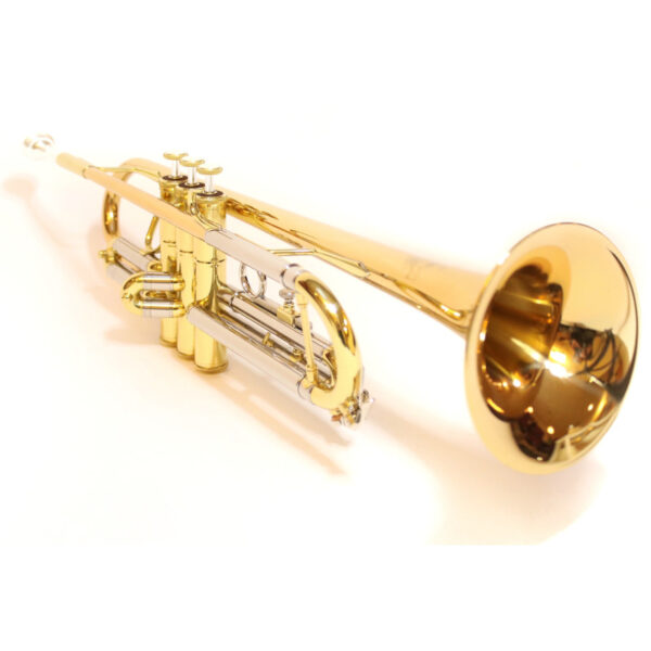 Yamaha YTR-6610 S Es/D Trompete - Vogt instruments
