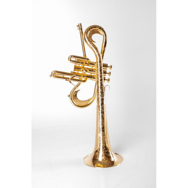 Adams F1 Custom Christian Scott 0,50 Goldbrass GP Flugelhorn - Vogt ...