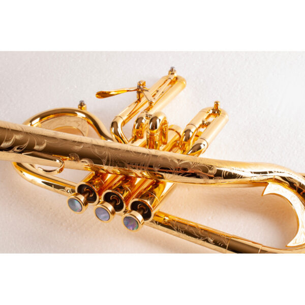Adams F1 Custom Christian Scott 0,50 Goldbrass GP Flugelhorn - Vogt ...